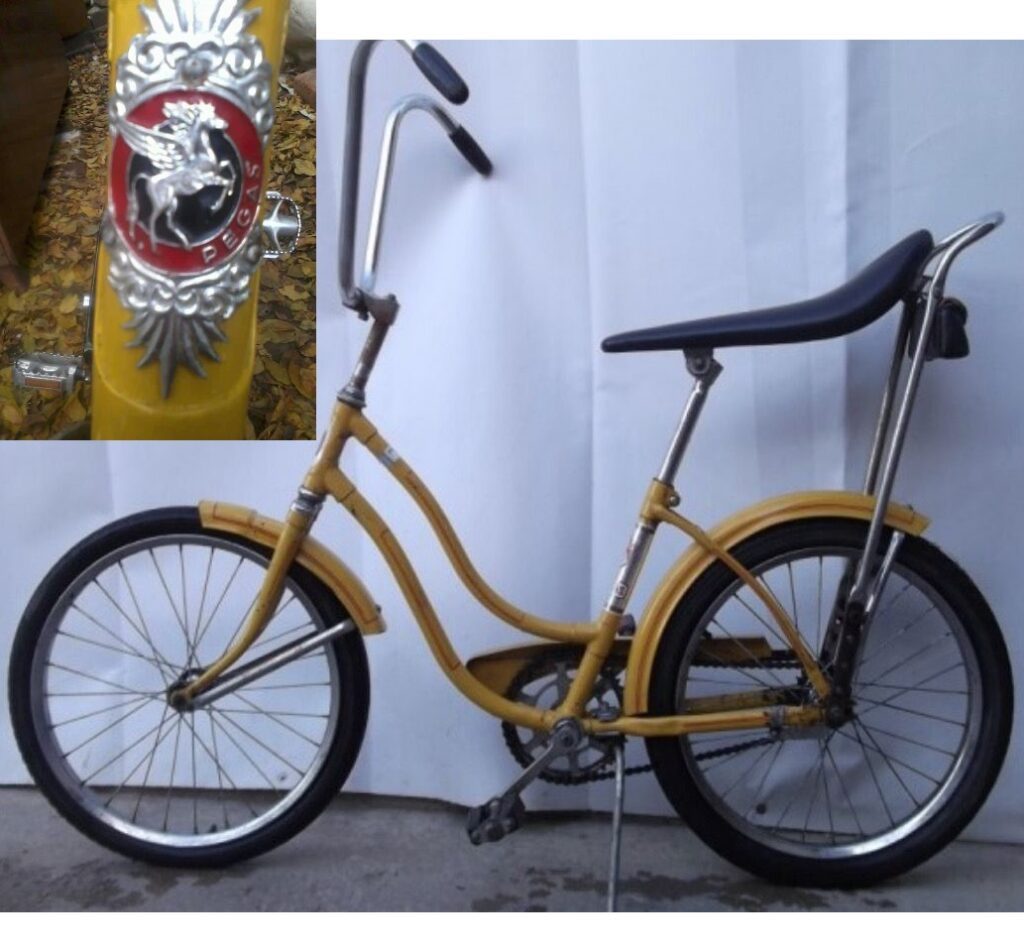 MADE IN ROMANIA (7) – bicicleta Pegas - ROMANIA SWEET ROMANIA